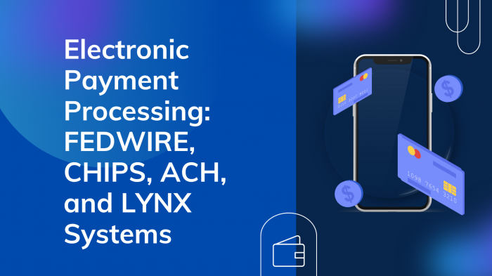 Electronic Payment Processing: FEDWIRE, CHIPS, ACH, and LYNX Systems